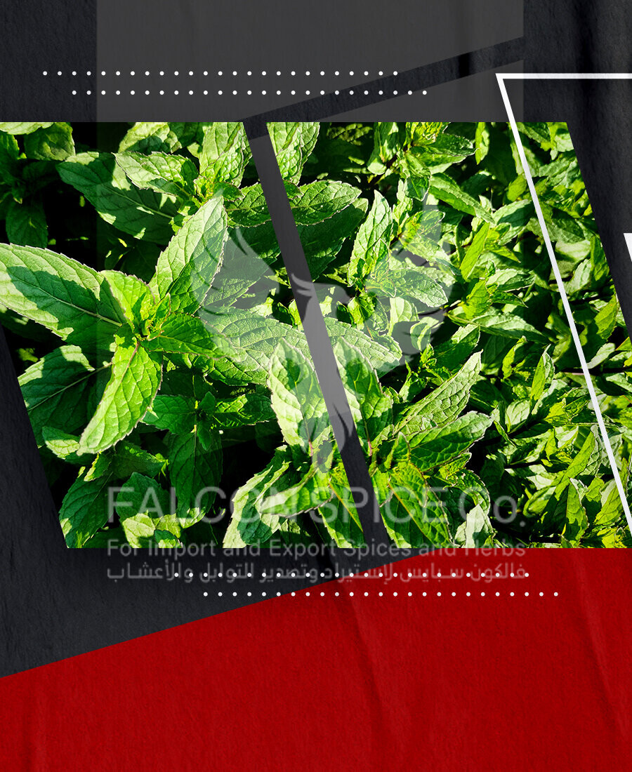 Falcon Spice Company – For Import And Export Spices And Herbs